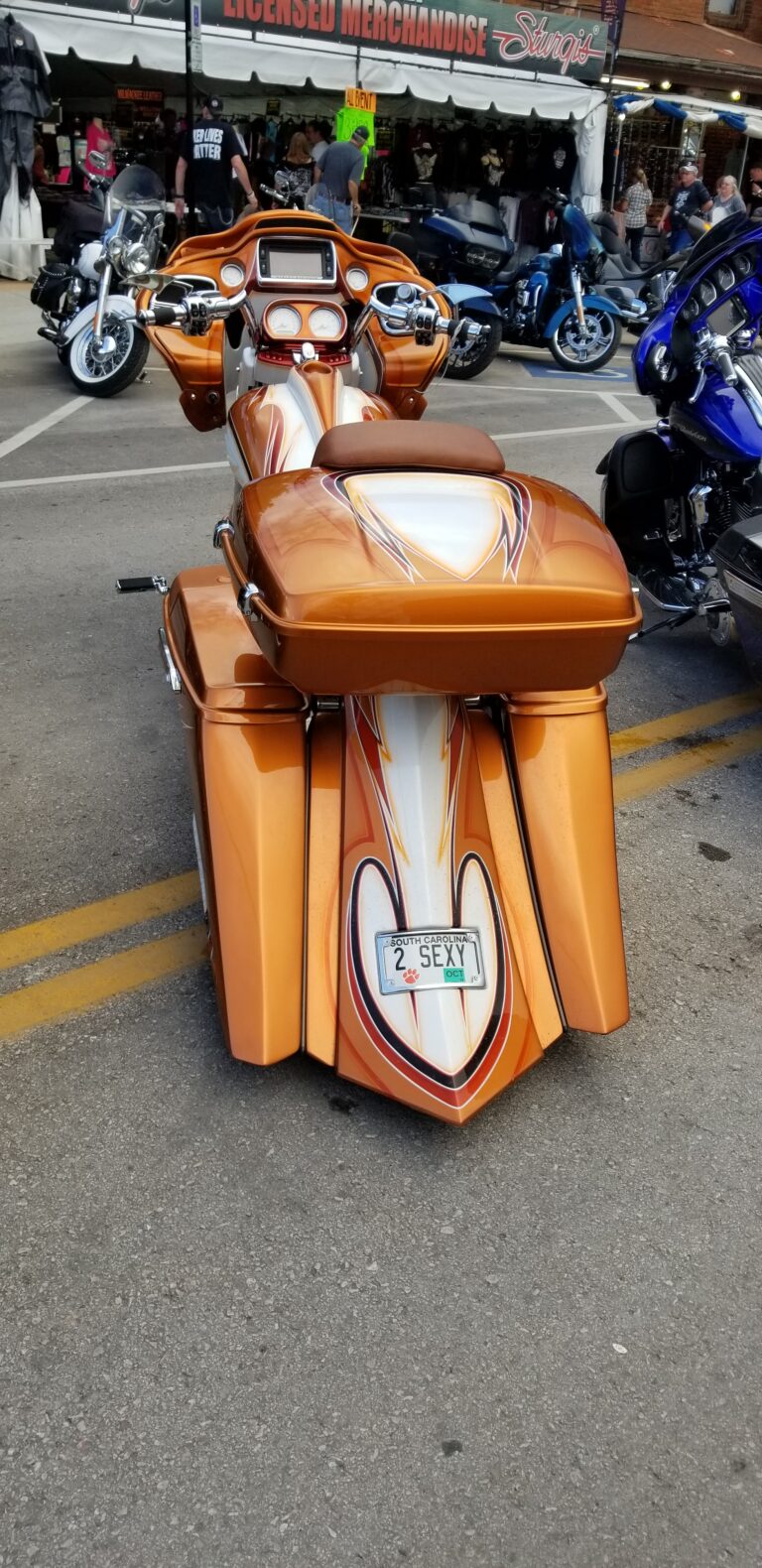 Prism Complete Bagger Kit – CylentCycles | Custom Bagger Bags